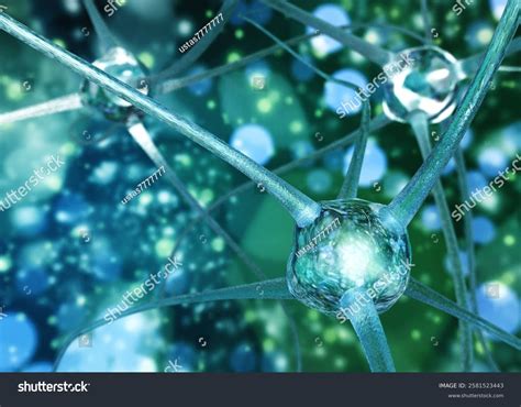Neuron Neuron Transmits Signal Nerve Node Stock Illustration 2581523443