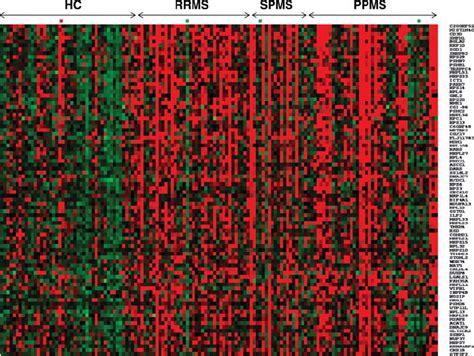 Heat Map Of T Cell Acivation Gene Expression The List Of Genes
