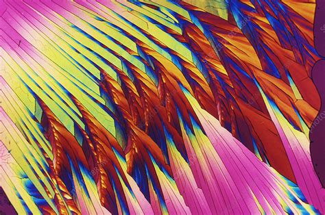 Adenine Vitamin B4 Lm Stock Image C027 8027 Science Photo Library