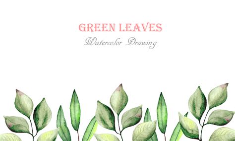 녹색 잎과 유칼립투스가있는 식물 엽서가 흰색 배경에 텍스트를위한 공간이있는 흰색 배경에 있습니다 봄 포스터 및 초대장 디자인을위한 수채화 그림 0명에 대한 스톡 벡터 아트