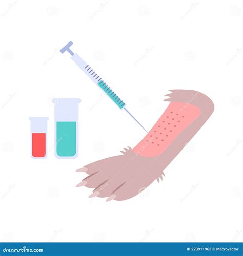 Animal Testing Flat Icon Stock Vector Illustration Of Ecology 223911963