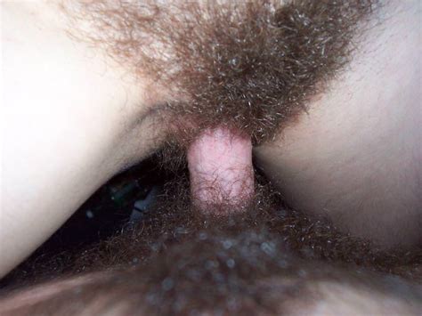 Very Hairy Couple Porn Pictures Xxx Photos Sex Images 3768742 Pictoa