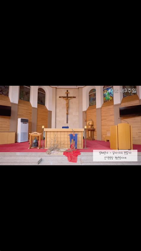 대구대교구 산격성당 청년회 Cum Sksd Cum • Instagram Photos And Videos