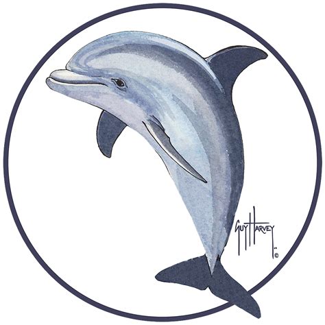 Live Feed Anna Maria Elementary