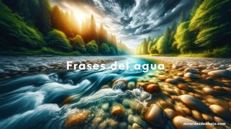 Frases Para Cuidar El Medio Ambiente Reflexiona Y Actúa