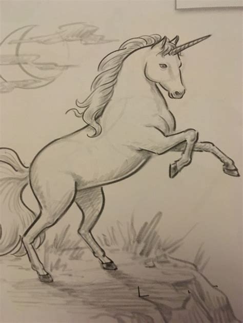 Unicorn Art Unicorn Drawing Unicorn Art Unicorn Sketch