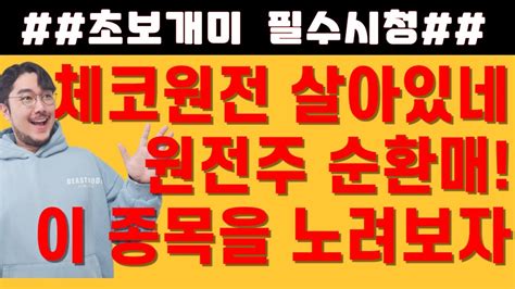 체코원전 재료 살아있네 원전섹터 순환매 이 종목 노려보세요 Youtube