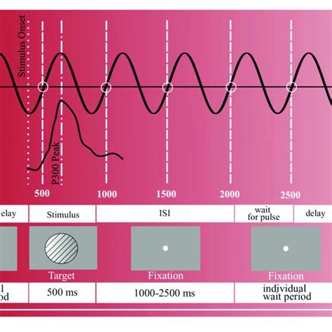 Stimulus Presentation And Timing A Synchronization Between Target
