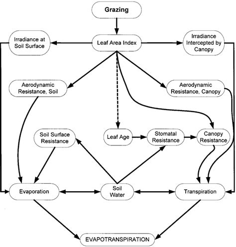 Conceptual Model Illustrating The Effect Of Grazing On Download Scientific Diagram