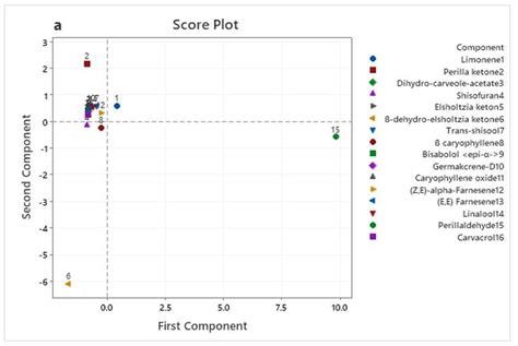 A Pca Score Plot For The Main Variation Of Essential Oil Compositions