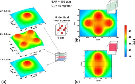 The Spatial Temperature Distribution In Biological Media Created By 6