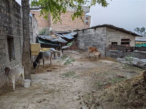 Akshay Nandwana On Linkedin Androiddev Kotlin Video Engineering