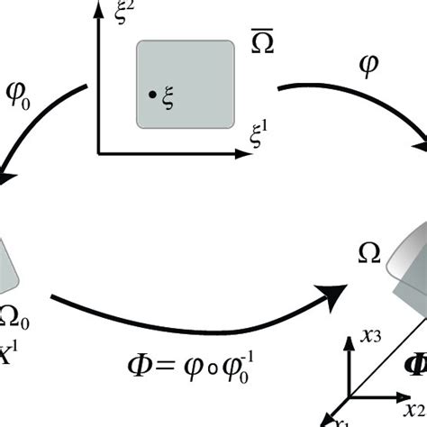 1 Membrane Kinematics Download Scientific Diagram