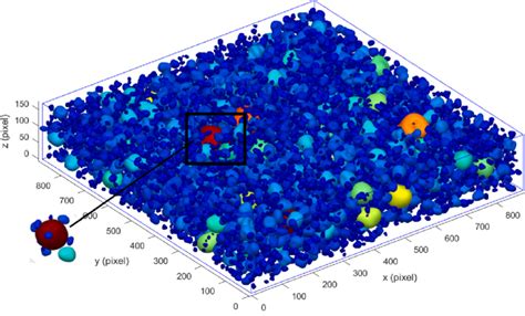 Reconstructed 3d Cathode Microstructure Download Scientific Diagram
