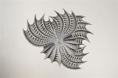 Generative Forms In Nature Behance