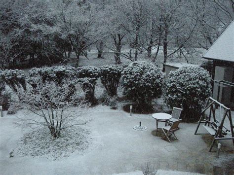 今年2度目の雪が… 劇団金太郎飴改メ「劇団金夢太郎飴」