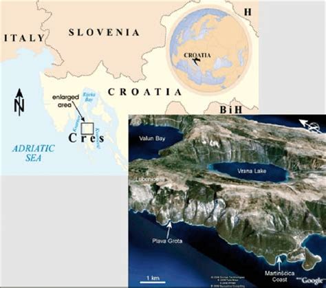 Map Of The Northern Adriatic Sea Showing The Location Of Cres Island