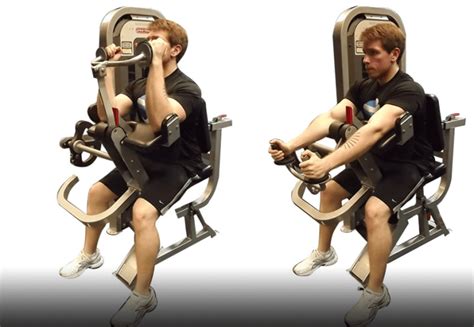 Triceps Pushdown Form Benefits And Alternatives