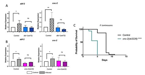 DBL-1 regulates expression of AMPs abf-2 and cnc-2 through SMA-3 ...