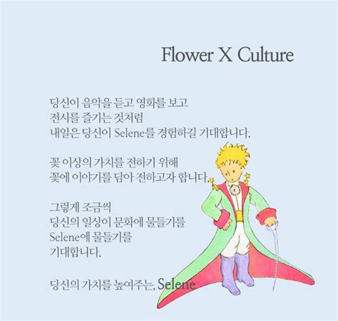 어린 왕자와 장미 관계의 소중함에 대하여