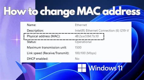How to Change MAC Address in Windows 11 (2024) | Technitium MAC Address ...
