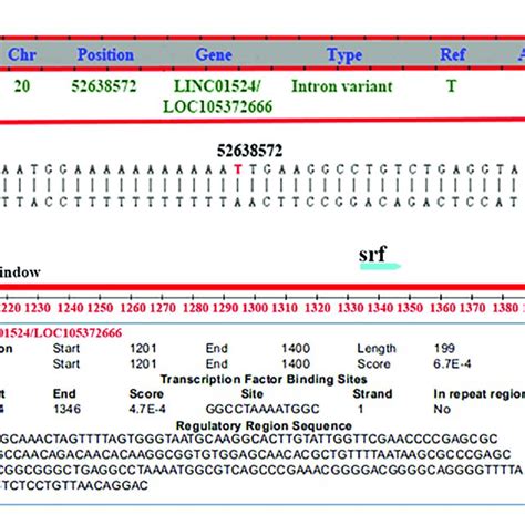 General Mutation Information And Transcription Factor Binding Site