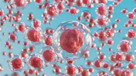 Stem Cells Embryonic Tissue Specific Mesenchymal Cells 3d Render Stock Illustration