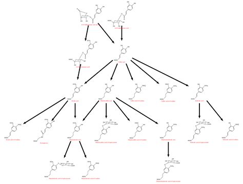 graphs nodes overlapping with tikz graphdrawing library tex latex