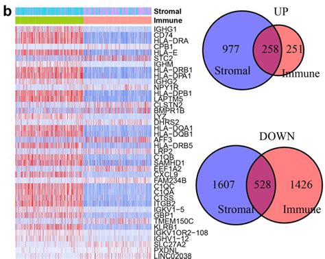 Nature数据期刊8分 文章告诉你，差异基因还能这样筛选！基质和免疫评分联合多组学数据助力纯生信发文~ 知乎
