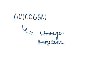 ⏩solvedwhat Is The Chief Function Of Glycogen In Animal Tissue Numerade