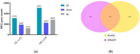 Ijms Free Full Text Transcriptome Analysis Reveals Critical Genes