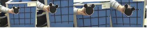 Figure 3 From Active Contour Based Visual Tracking By Integrating