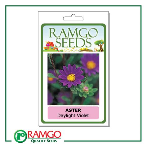 Rcf Aster Daylight Violet Seeds Shopee Philippines