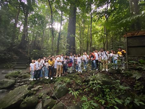 Uplb Makiling Botanic Uplb Makiling Botanic Gardens Facebook