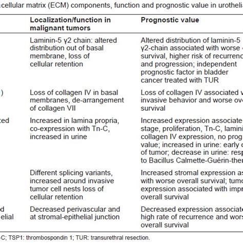 Distribution Of Structural Extracellular Matrix Ecm Components Download Scientific Diagram