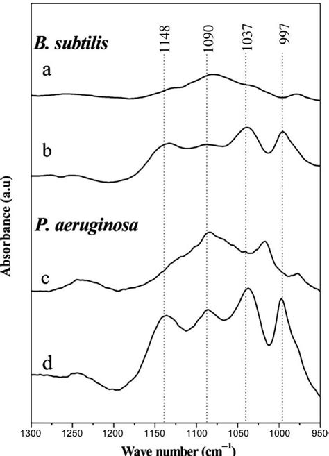 16 Atr Ftir Spectra 1300 950cm Of Solution Phase Eps And