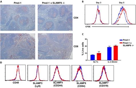 Slamf6 Deficiency Augments Tumor Killing And Skews Toward An Effector