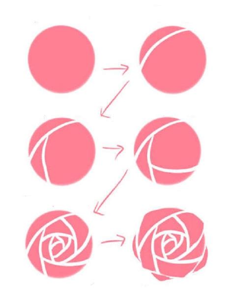 Как нарисовать розу