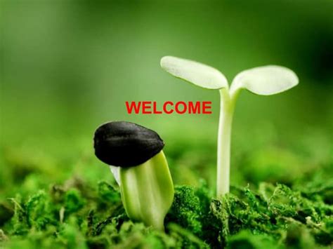 Post Transcriptional Modification Pptx Chemistry Science