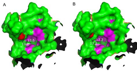 analysis of the shape and size of the entrance of the substrate binding