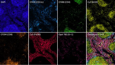 multiplexed fluorescence detection with the new spectra x light engine