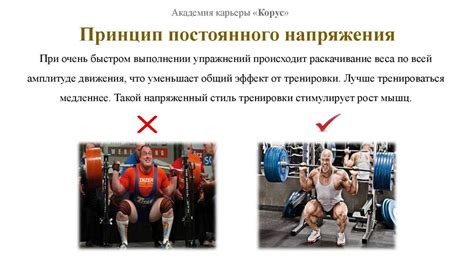 Тренировочные принципы Бена Вейдера - презентация онлайн