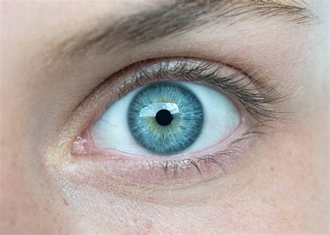 15900 Ojos Azules Verdosos Fotografías De Stock Fotos E Imágenes