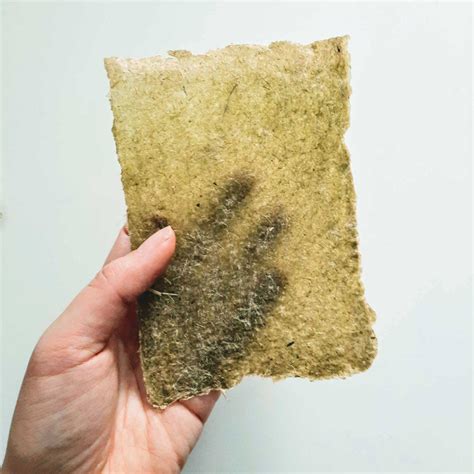 Ginger Ginger Ginger Paper — May Babcock