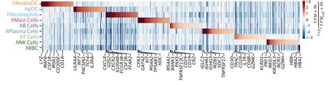 Single Cell Create Heat Map That Groups Genes By Expression Within