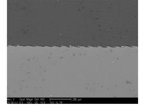 Scanning Picture Of The Connection Interface Morphology Under