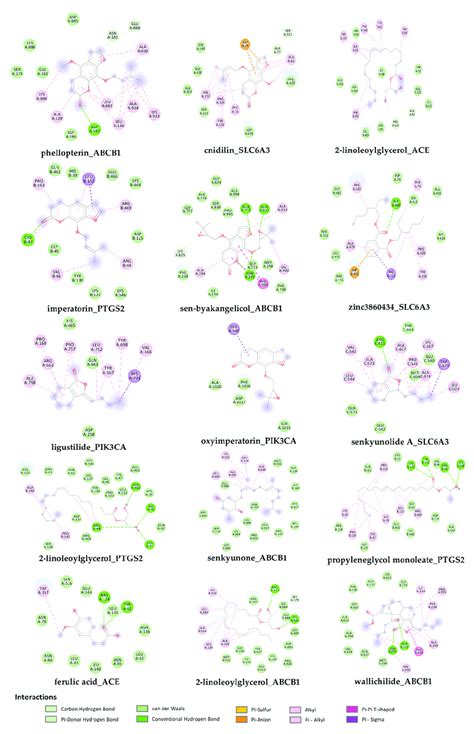 Two Dimensional Visualization Data Of The Compound Protein Complex In