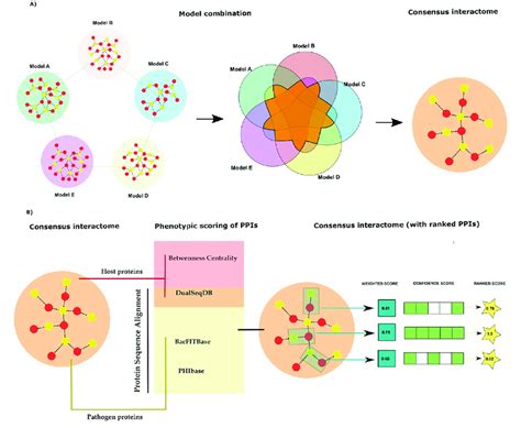 Model Combination And Calculation Of Ranked Scores A Model Download Scientific Diagram