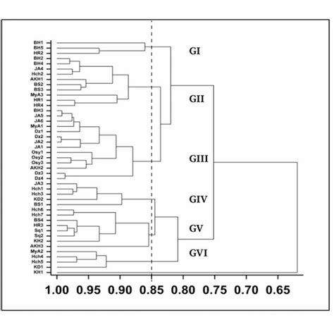Hierarchical Clustering Dendrogram Showing The Relationships Among The Download Scientific