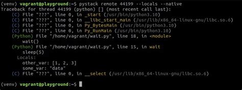 Debugging Crashes And Deadlocks In Python Using Pystack Fernando